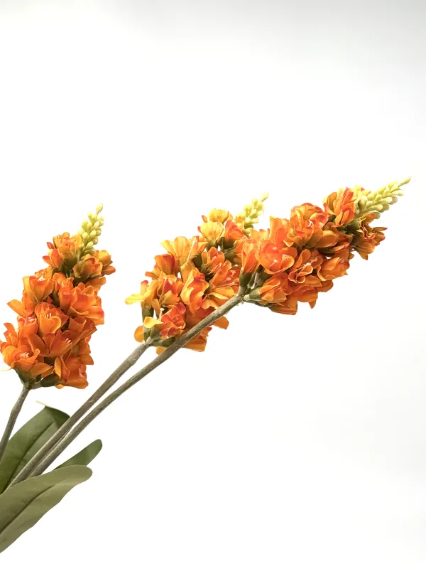 Orange Veronica Spray - Pearl Haus